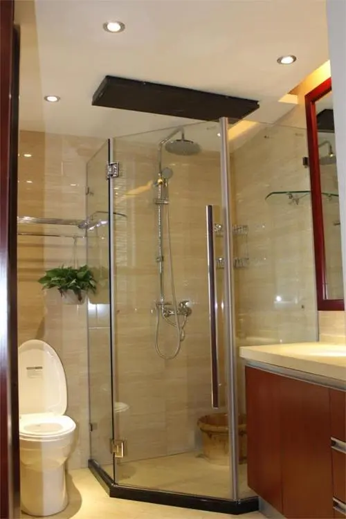 An In-depth Exploration of Shower Cubicles